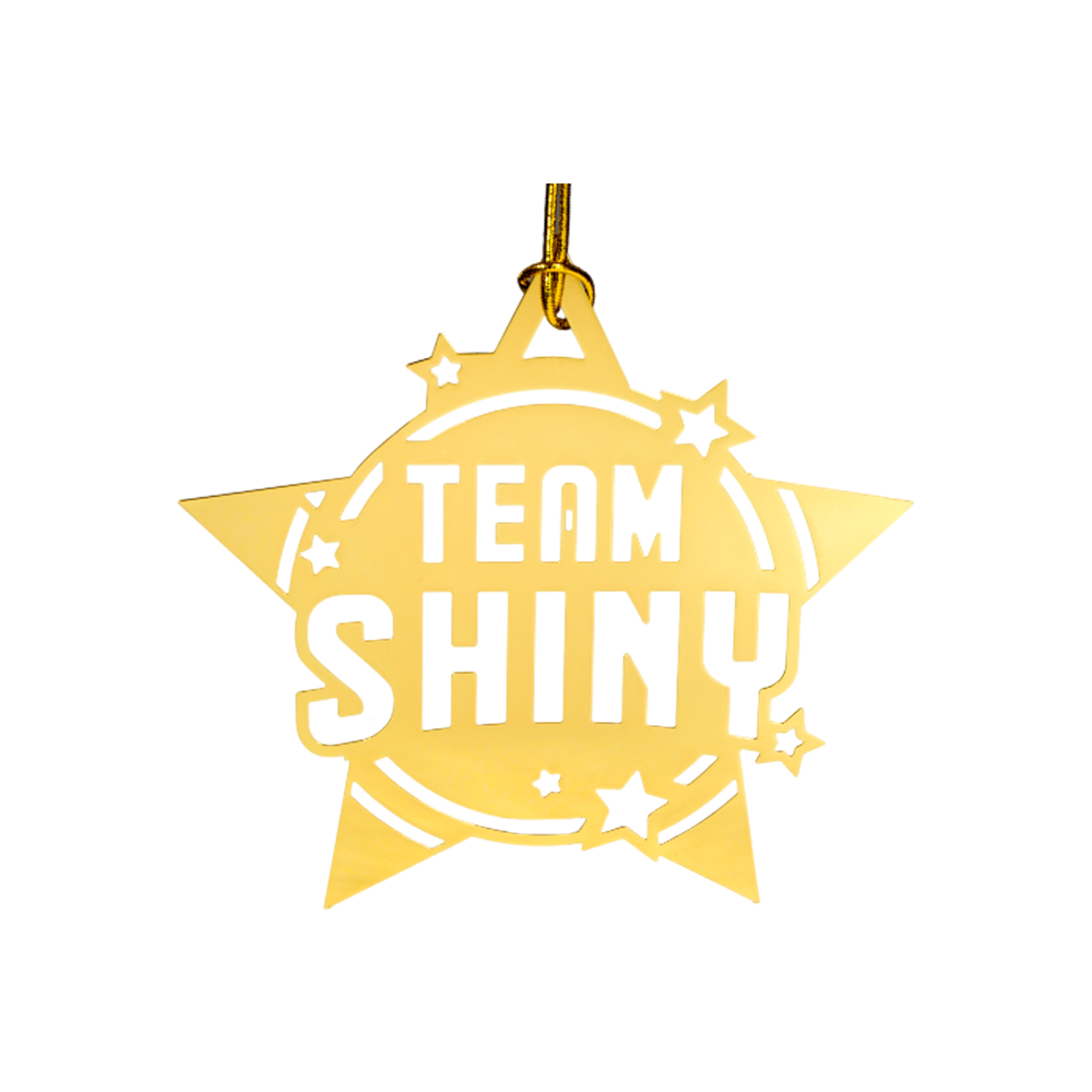 Team Shiny Ornaments (Set of 2) – Ownaj